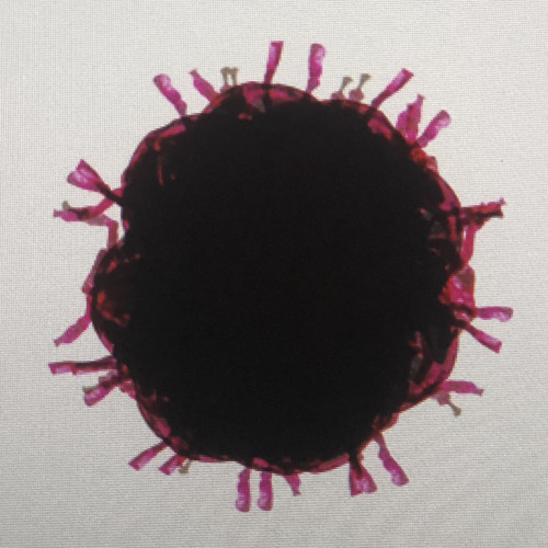 Stream Stay- Cover by El Jenks by El Jenks | Listen online for free on ...