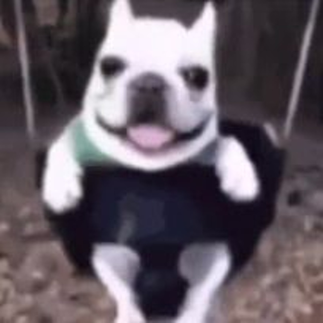 Stream Death Of Golden Boy by Middle School Maniac | Listen online for ...