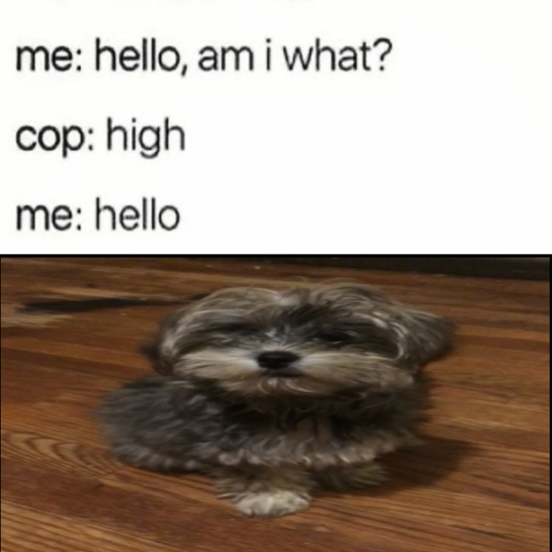 Stream 9vitals | Listen to prod me playlist online for free on SoundCloud