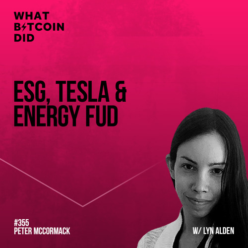 Stream episode ESG, Tesla and Energy FUD with Lyn Alden by Mr Obnoxious ...