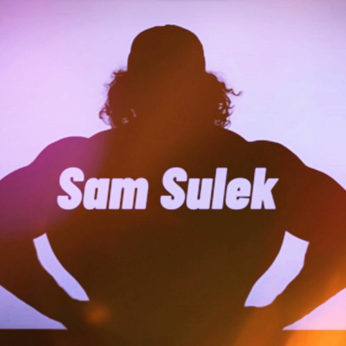 Stream SAM SULEK EDIT / BASS BOOSTED + REVERB - Løwly. by Løwly ...