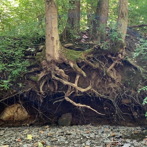 Stream Activate - Synapse LIVE On Jungletrain & Twitch 2021-07-11 ...