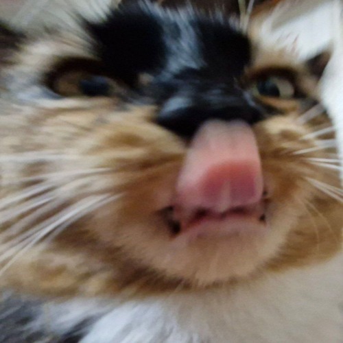 Stream vk sound ya che eblan? by kuwo | Listen online for free on ...