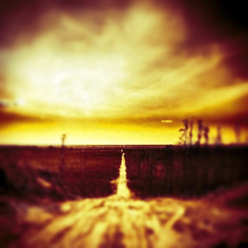 Stream desolation by TEARLESS | Listen online for free on SoundCloud