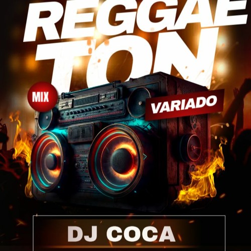 Stream Reggaeton Mix Variado 2023 Dj Coca by Oscar Rodas | Listen ...