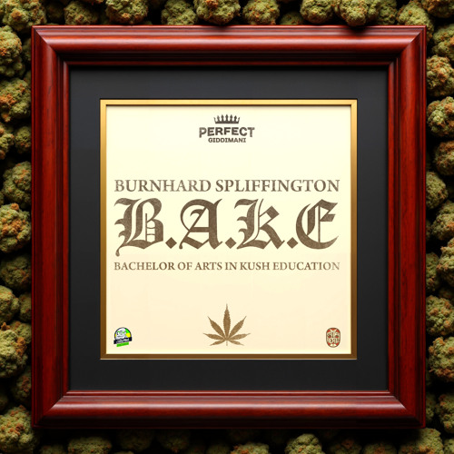 Stream High Grade Weed Dub by Perfect Giddimani | Listen online for ...