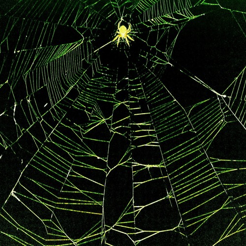 Stream Scooby Doo by Larfy Nug | Listen online for free on SoundCloud