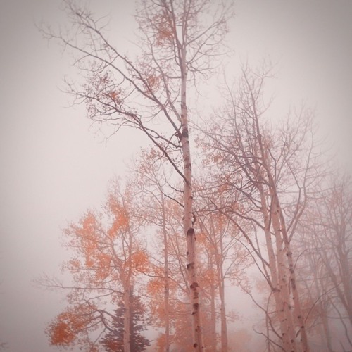 Stream Sunday Showers by Glassingpines | Listen online for free on ...