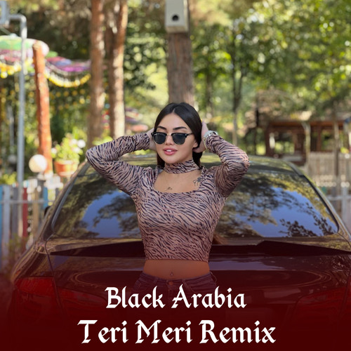Stream Teri Meri (Remix) by Black Arabia | Listen online for free on ...