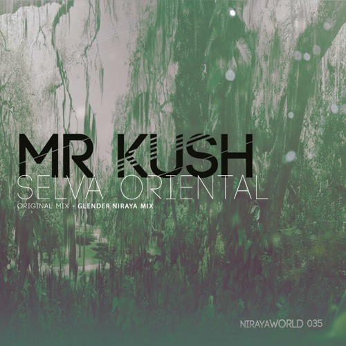 Stream Mr. Kush - Selva Oriental by Mr. Kush | Listen online for free ...