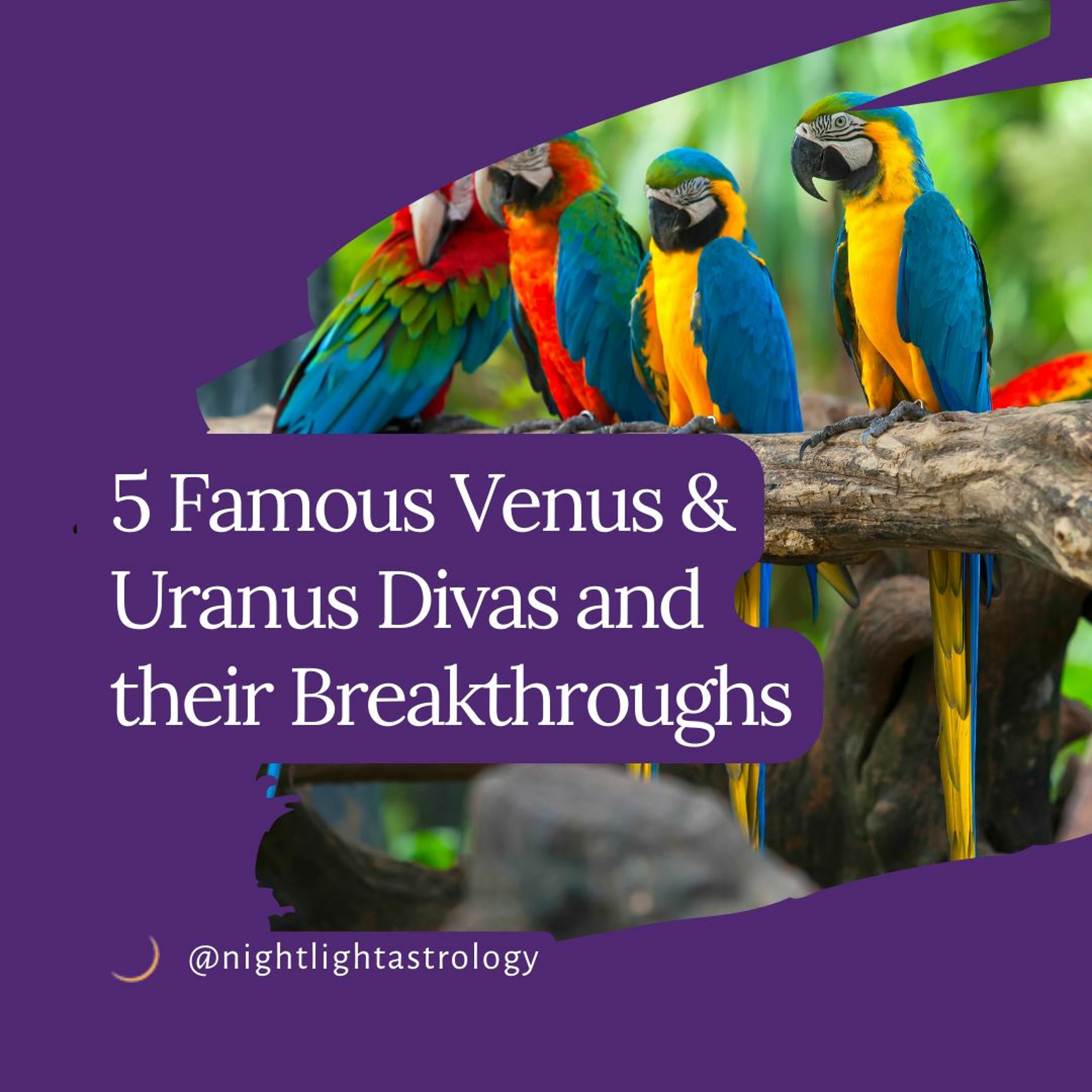 5 Famous Venus/Uranus Divas and Their Breakthroughs – The Nightlight ...