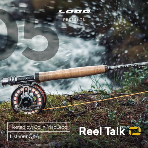 Stream episode Episode 5 - Listener Q&A by LOOP presents: Reel Talk ...