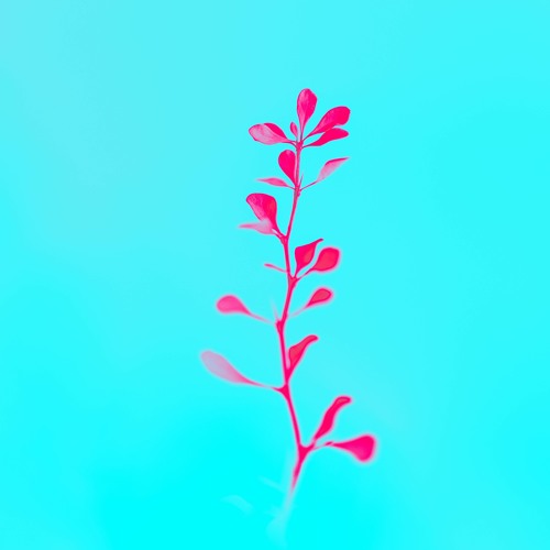 Stream Ailero - ID (Let You Love Me) by Future IDs | Listen online for ...