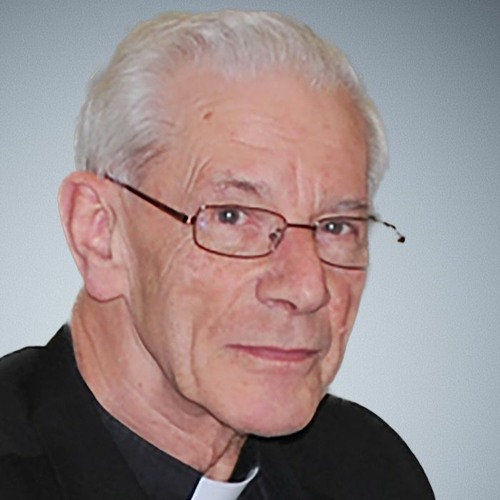 Stream RMNL | Listen to Woord van God door Pater J. Bots SJ - Jaar A ...