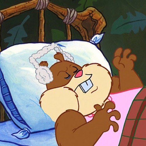 Sandy Cheeks Hibernation