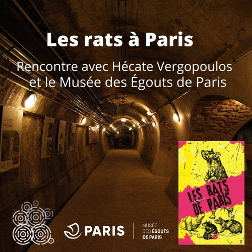 Stream Conférence Les rats de Paris - BHdV 20 octobre 2022 by Paris ...