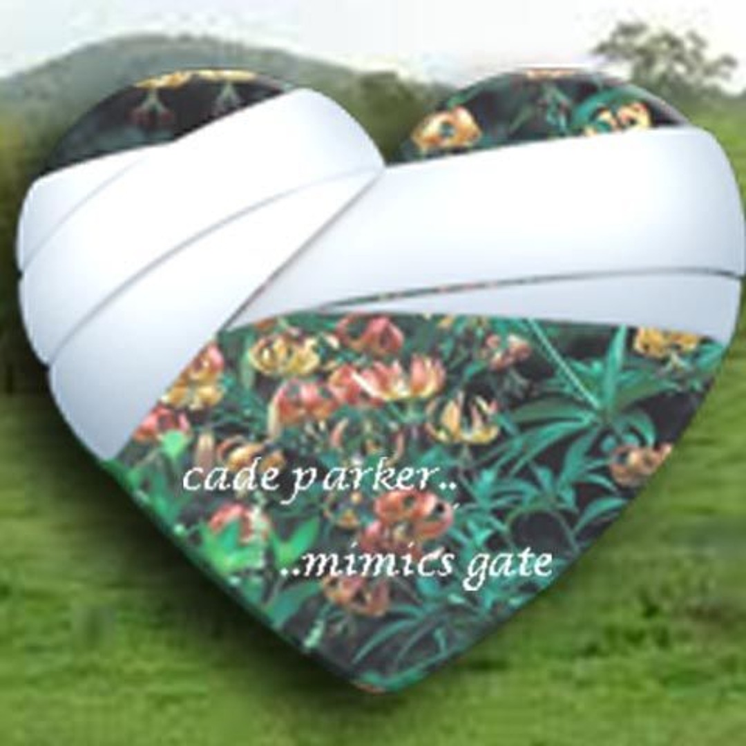 Stream You dont know how it feels⌠prd. mimicsgate⌡ by Cade parker ...