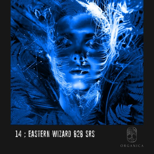 Stream 14 : Organica B2B Sessions - Eastern Wizard by SRS | Listen ...