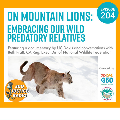 Stream episode Wild Predator Alert: Embracing the Elusive Mountain Lion ...