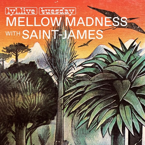 Stream Mellow Madness w/ Clémentine & Saint-James 08.10.24 by Clémentine | Listen online for ...