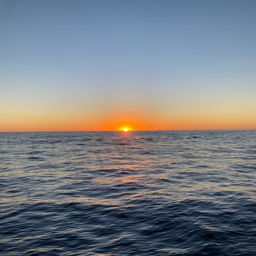 Stream Mc Chris - Wiid (brother bear bootleg) by callmestevesie ...