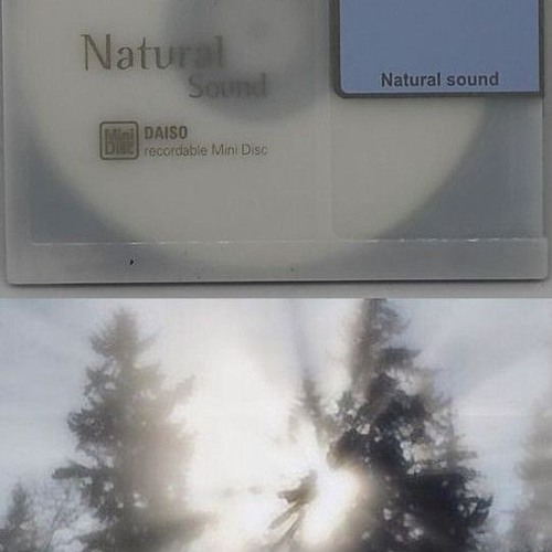 Stream Speed Evil — Rei Ayanami by winstonsxxx | Listen online for free ...