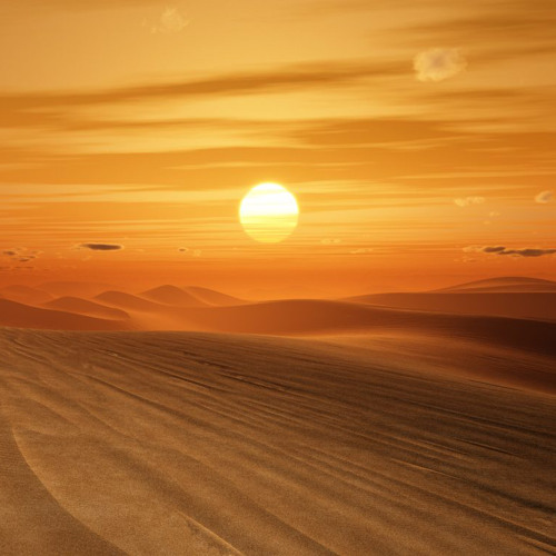 Stream Ms Officer remix by Smc Quxnn | Listen online for free on SoundCloud