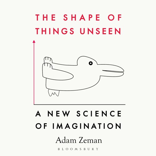 Stream The Shape of Things Unseen by Adam Zeman, read by Ciaran Saward ...