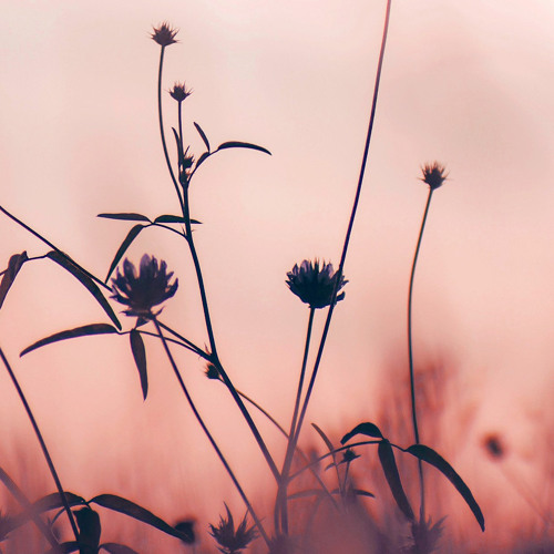 Stream Jeevan Pun | Listen to Nepali songs playlist online for free on ...