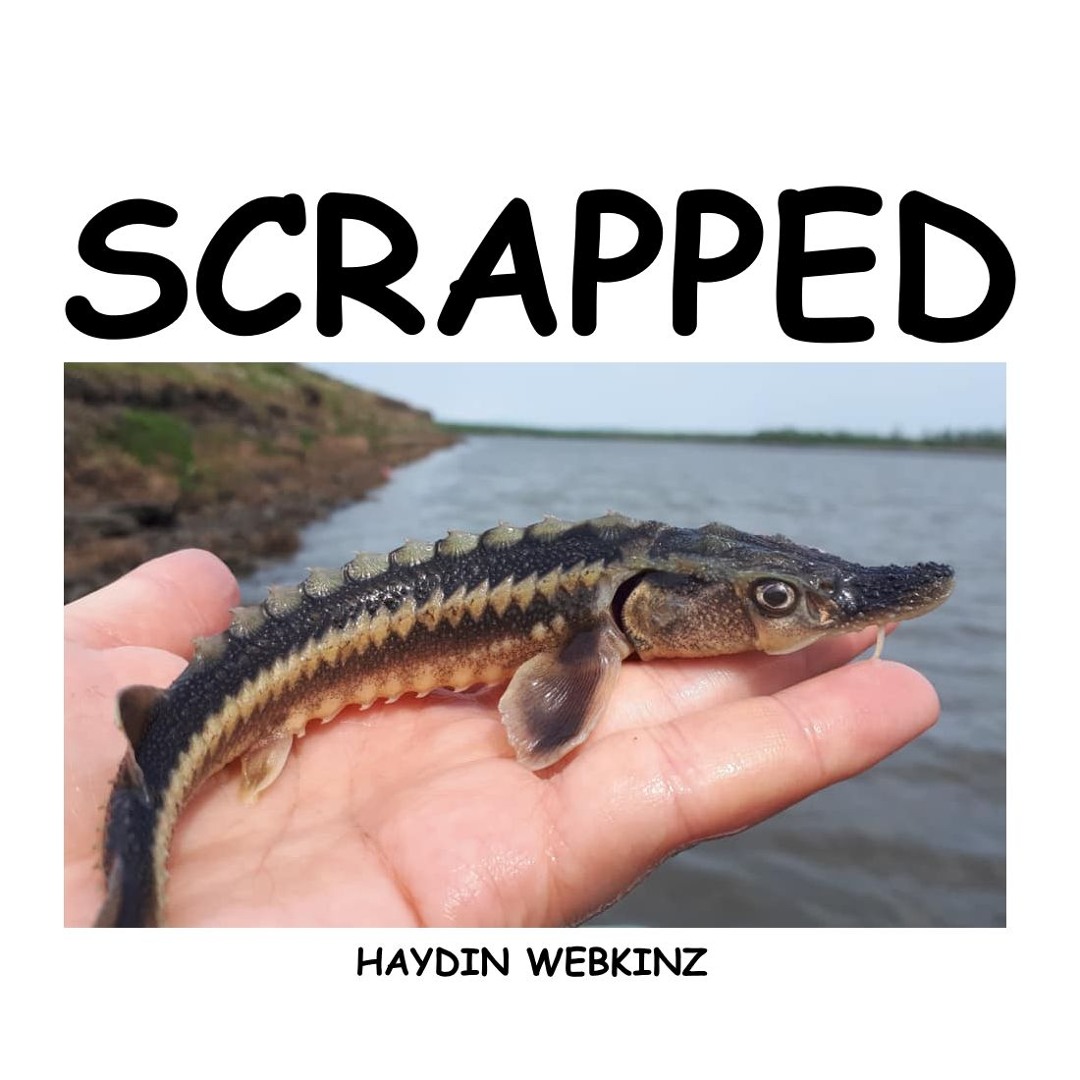 Stream BVVVV by Haydin | Listen online for free on SoundCloud