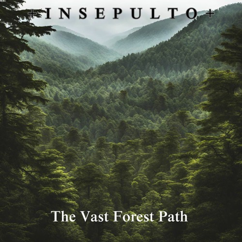 Stream The Vast Forest Path by Insepulto | Listen online for free on ...