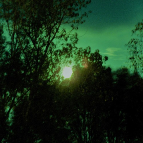 Stream Dr Vindaloo by Dragos Paduraru | Listen online for free on ...