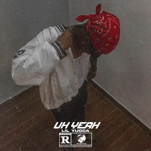 Stream UUUH YEAHH 🚀 by LIL ¥UCCA🧛 | Listen online for free on SoundCloud