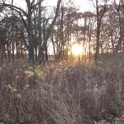 Stream Home by Catherine Balassie | Listen online for free on SoundCloud