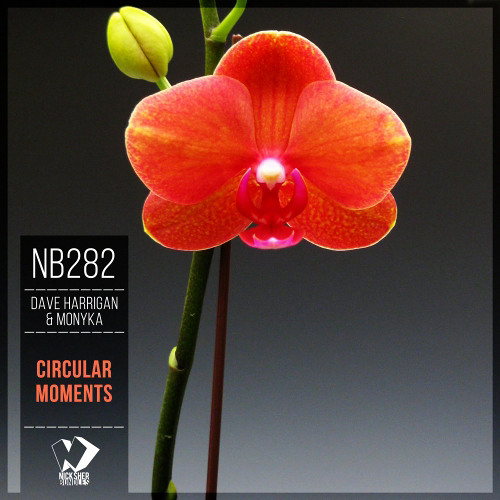 Stream Dave Harrigan & MONYKA - Together (Original Version) by Nicksher ...