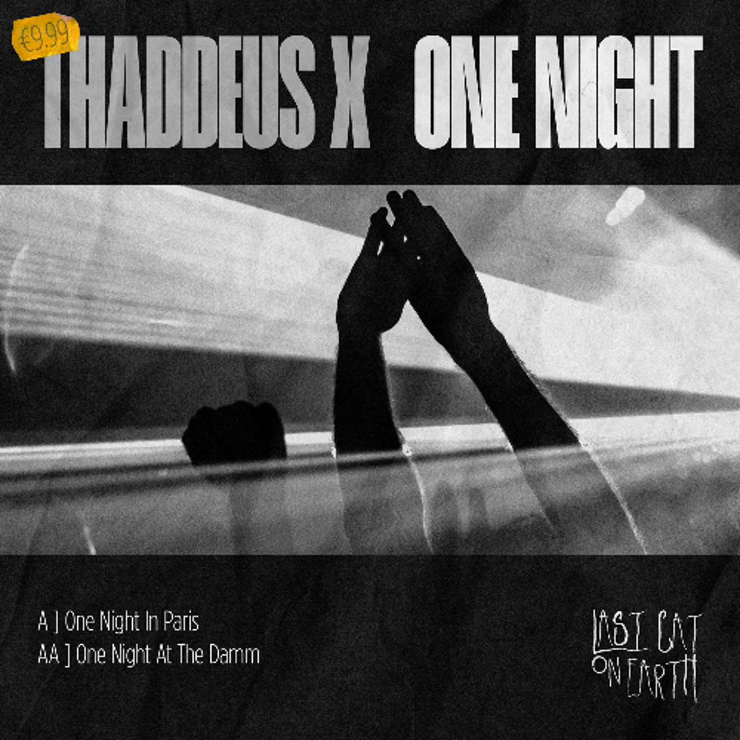 Stream Free Download: Thaddeus X - One Night In Paris [Last Cat On ...