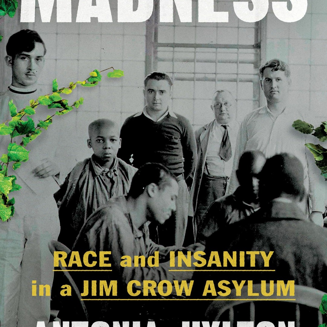 Stream [PDF] Madness: Race and Insanity in a Jim Crow Asylum - Antonia ...