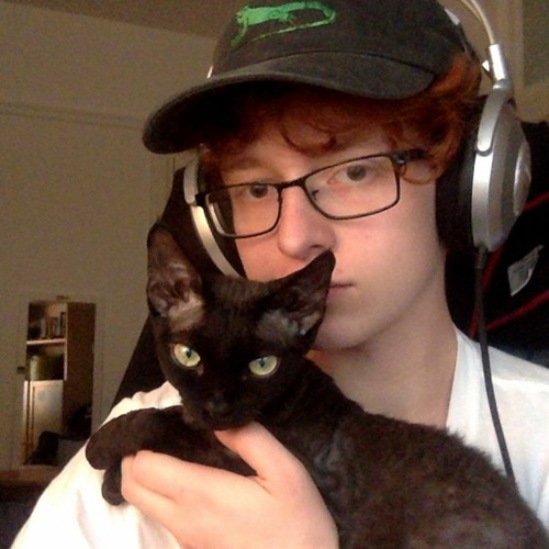 Stream Salem - fox academy (cavetown cover) by raine | Listen online ...