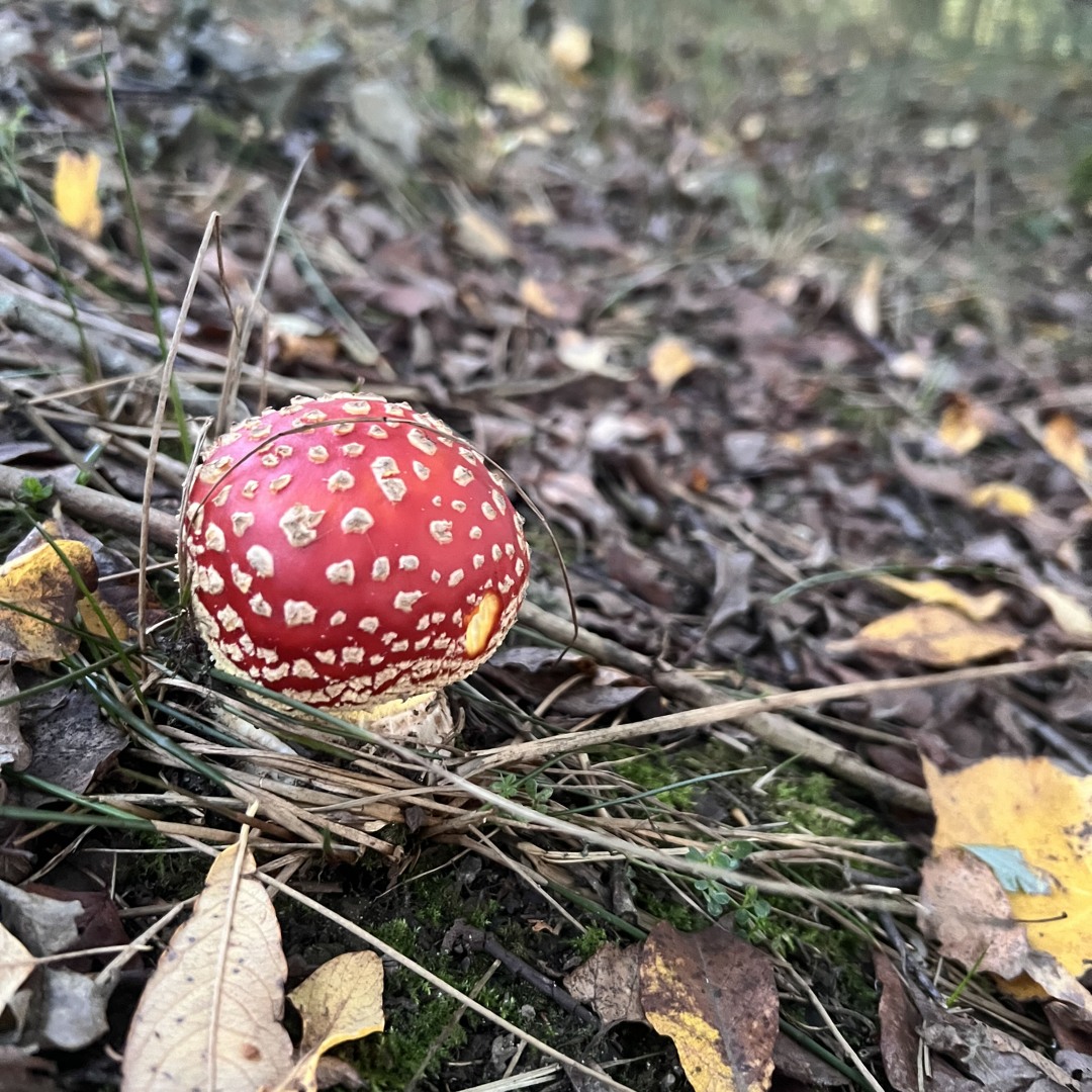 Stream George Hudson | Listen to High Energy House playlist online for ...