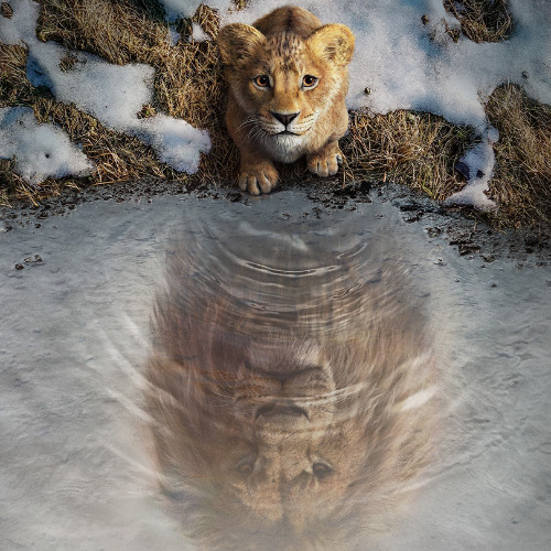 Listen to music albums featuring ™[Filmuvi] Mufasa: Kralj lavova (2024 ...