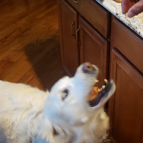 Stream MITAYA - TRAGIC (SCOPESNAKE FLIP) by scopesnake | Listen online ...