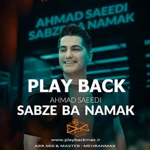 Stream Ahmad Saeedi Sabze Ba namak . دمو پلی بک آهنگ سبزه با نمکی by ...