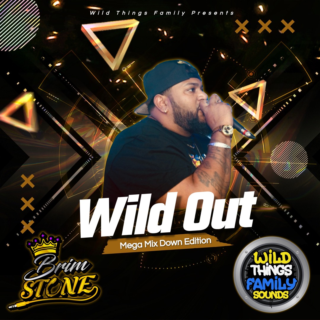 Stream Wild Out Mega Mix Down Edition DjBrimStone by DjBrimStone Wild ...