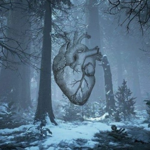Stream Lina Rieder - Idę Do Domu (Greg La Brelle Remix) by gregoire ...
