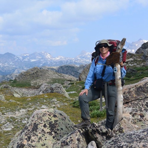 Stream Think Globally, Act Locally: Interview with Cindy Perry by ...