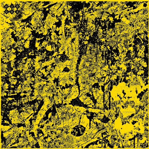 Stream Premiere: Behrang Mohammadi - Tears Only Fall From The Right Eye ...