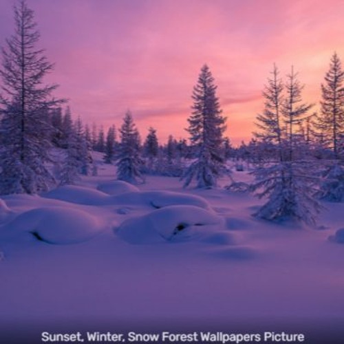 Stream Xeiden Ft. Ksentaks- Wkacyjny Klimat by Xeiden | Listen online ...