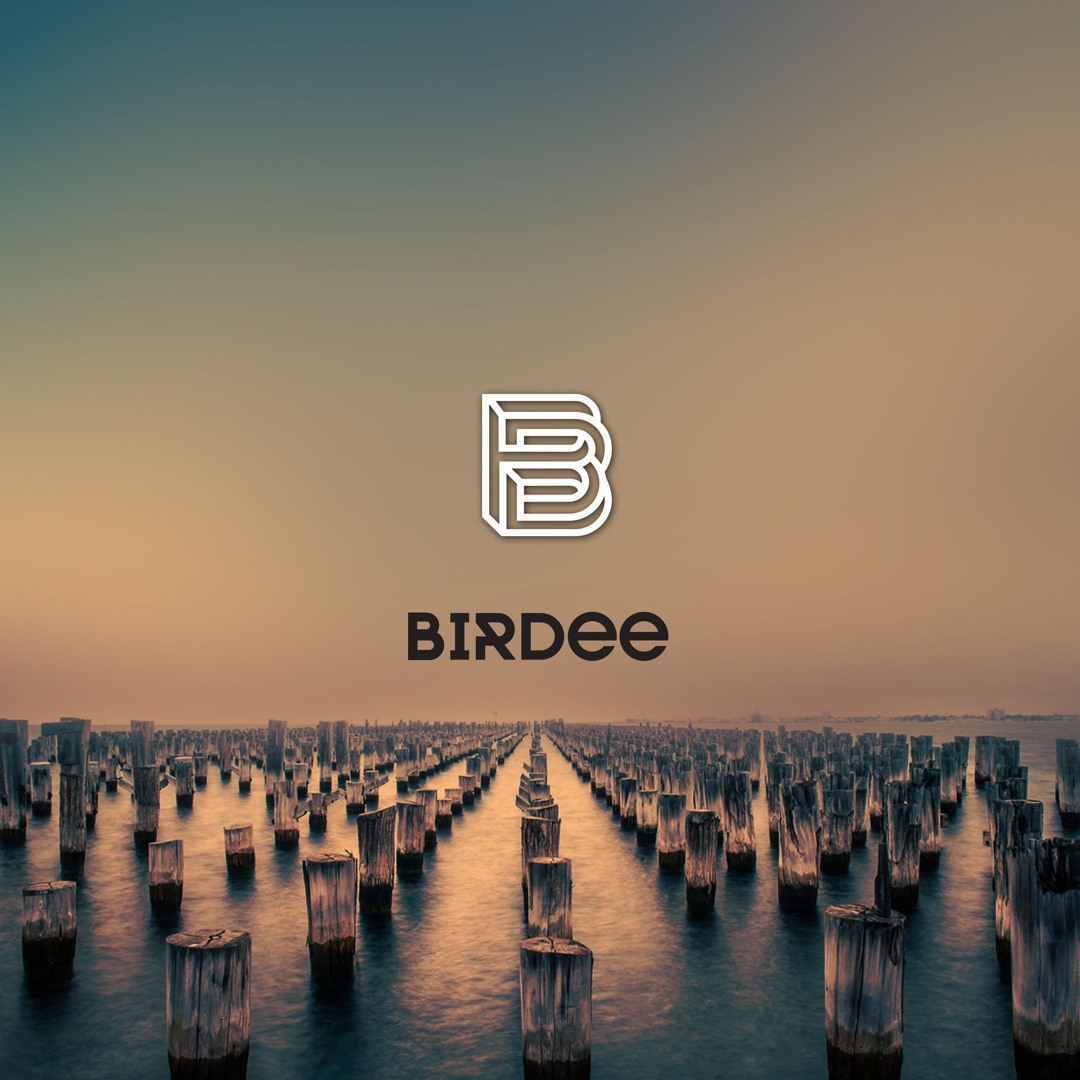 Stream Birdee Summer 2024 Mixtape by Birdee | Listen online for free on ...