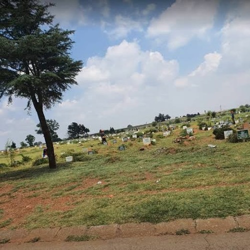 Stream Avalon cemetery should be appropriately preserved and maintained ...