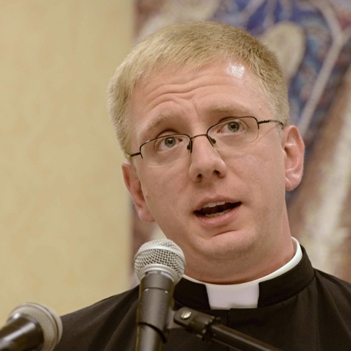 Stream Good Shepherd Sunday: A sermon by Fr Daniel Themann by FSSPX ...